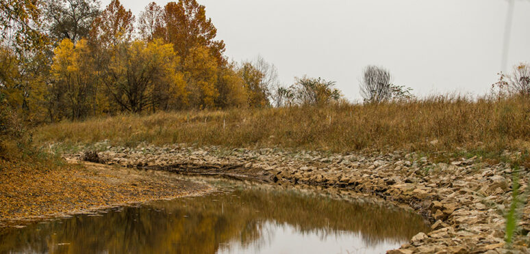 Stone Bluff Ranch - Planning Design Group